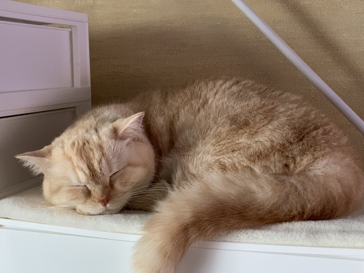 ku-のページ | YAMAP / ヤマップ