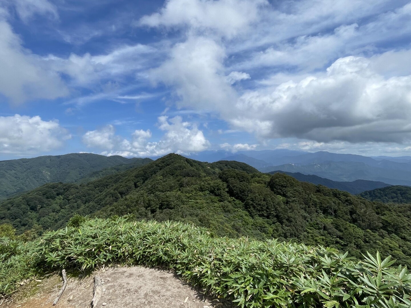 3・2・1・前 五頭山20240819 / Kuさんの五頭山・菱ヶ岳・宝珠山の活動データ | YAMAP / ヤマップ