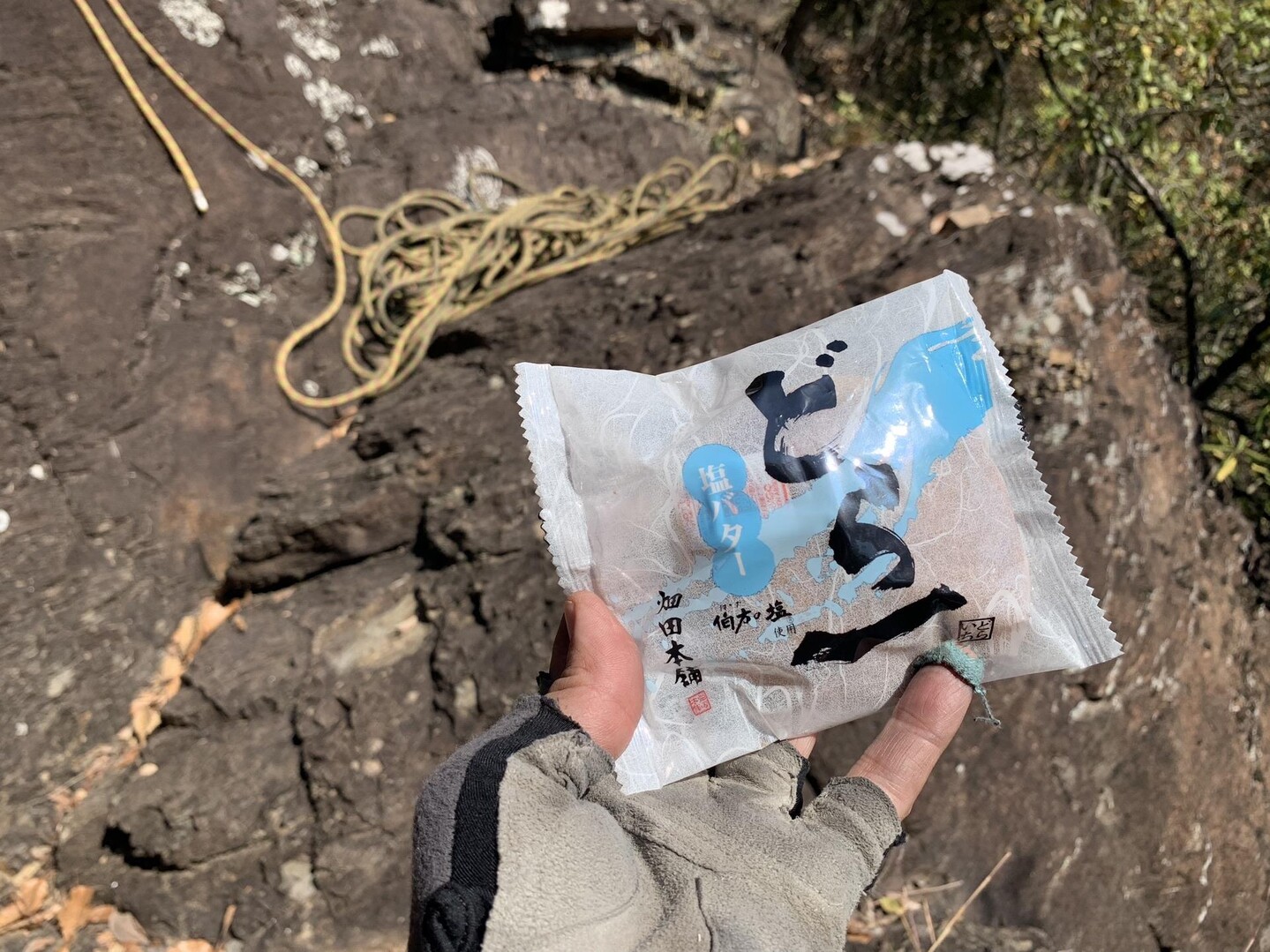 高屋神社RCT / muddy329さんのウォーキングの活動データ | YAMAP / ヤマップ