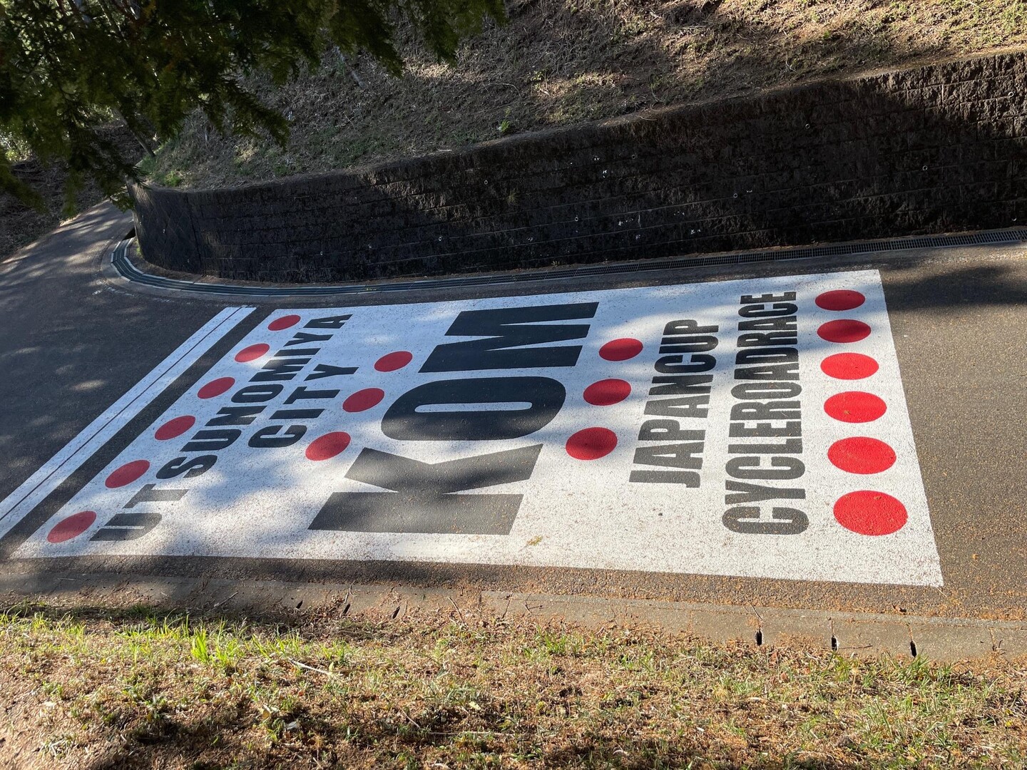 坊主山・御嶽山・古賀志山 / koiさんの古賀志山・赤岩山・鞍掛山・男抱山・半蔵山の活動データ | YAMAP / ヤマップ