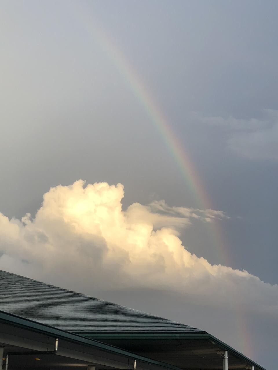 saru-s.kaiのページ | YAMAP / ヤマップ