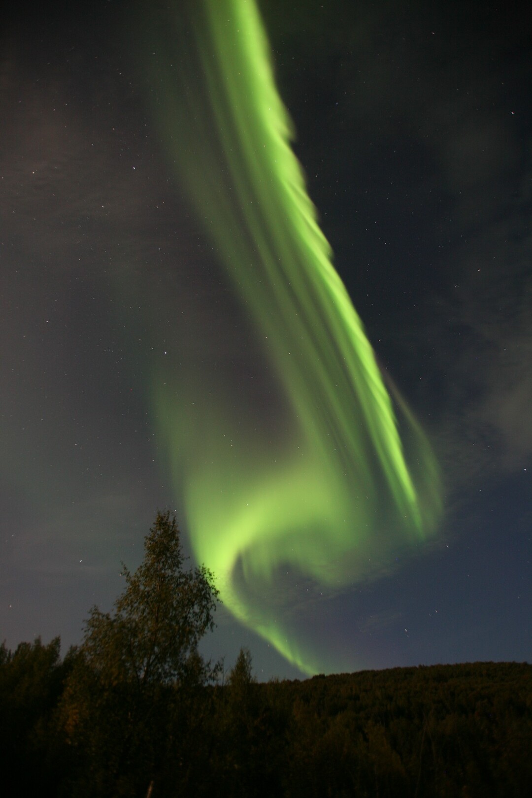 2010年8月、フェアバンクス郊外で撮影... / KAZUさんのモーメント | YAMAP / ヤマップ