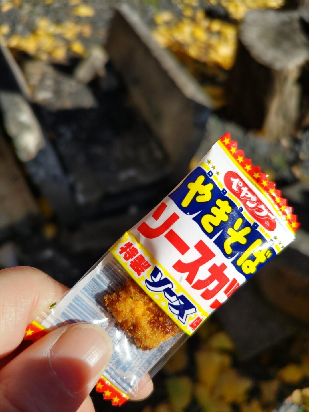 筑波山で 山おやつ😋 山友さんに戴いた... / kayoさんのモーメント | YAMAP / ヤマップ