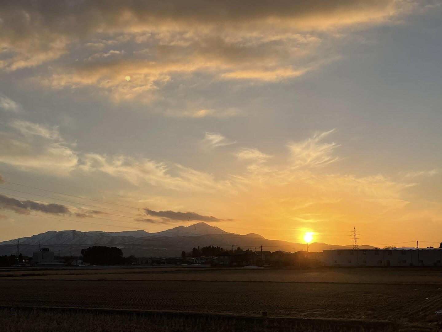 2023/1/12 ジョギング中にとらえ... / Lilyさんのモーメント | YAMAP / ヤマップ