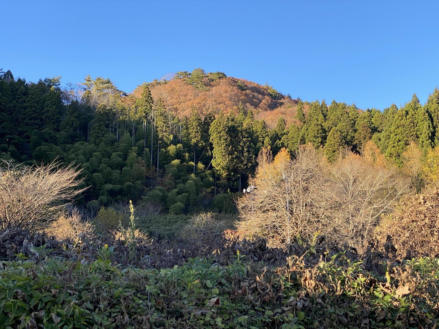 常陸国ロングトレイルSE-01からSE-10 土岳 / kaeruikenoさんの土岳・花貫渓谷・竪破山の活動日記 | YAMAP / ヤマップ