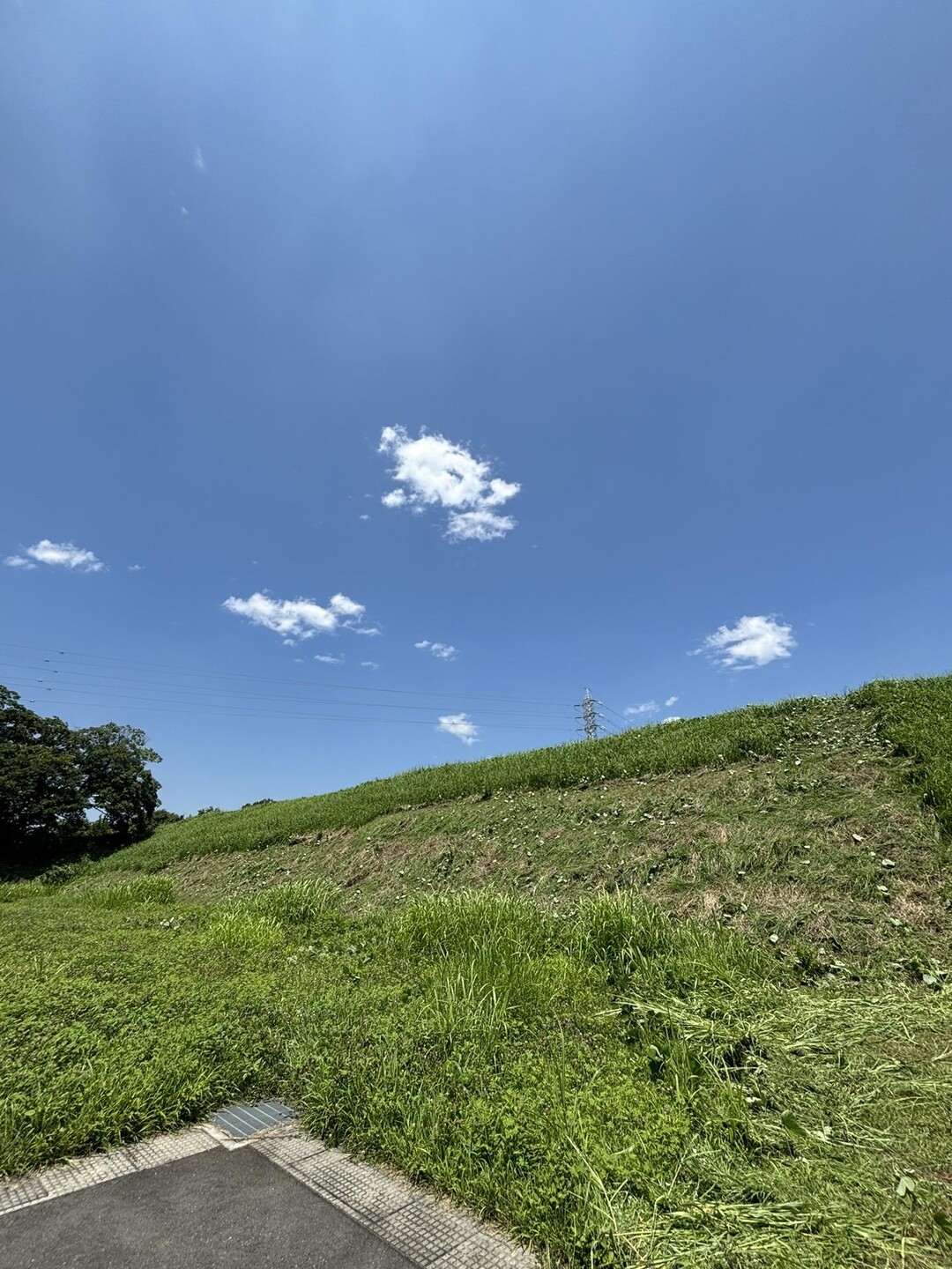 本日のミッション‼️ ハゲ山🧑‍🦲 ... / sasaさんのモーメント | YAMAP / ヤマップ