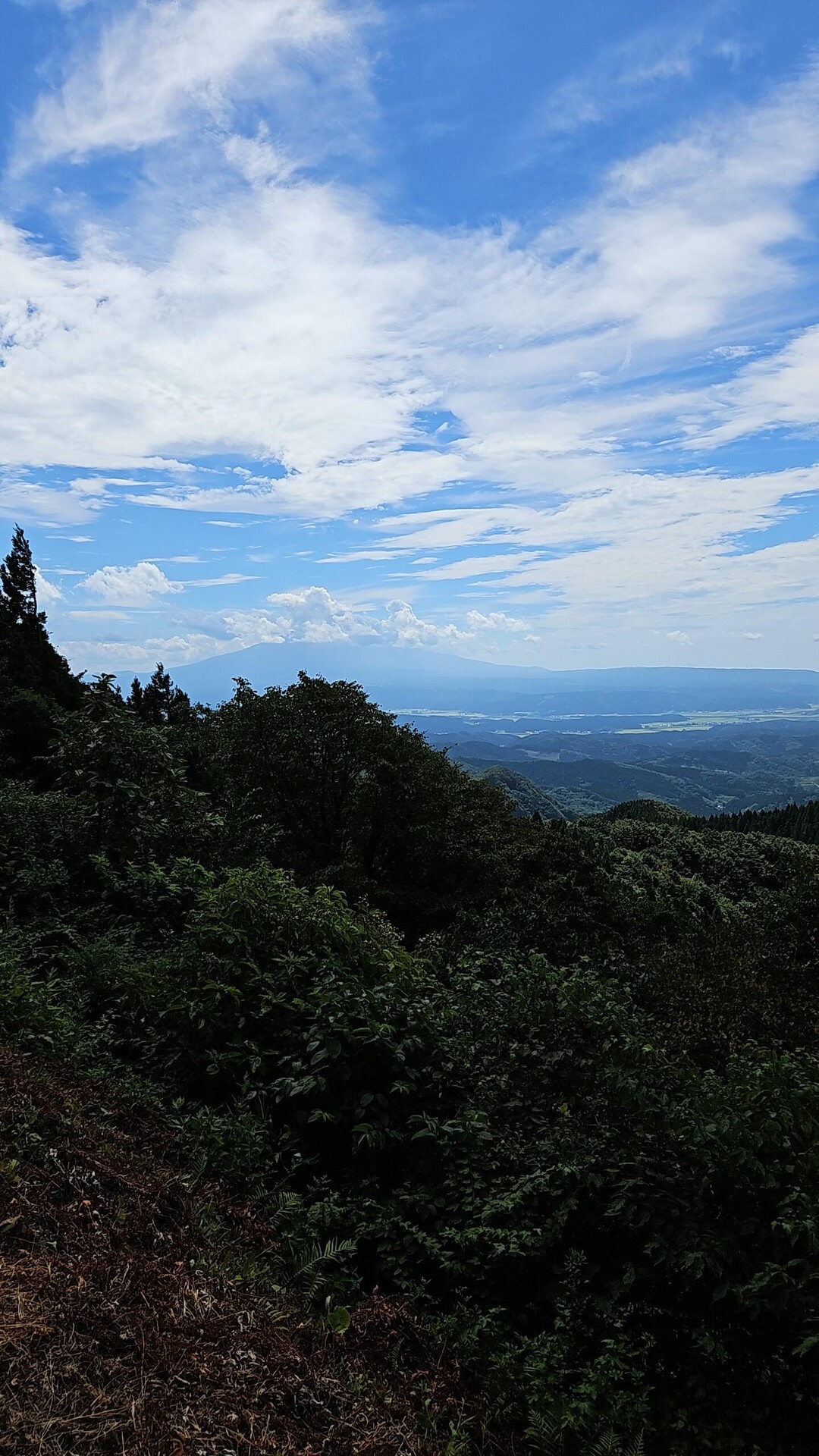 東光山 / miuさんの登山の活動データ | YAMAP / ヤマップ