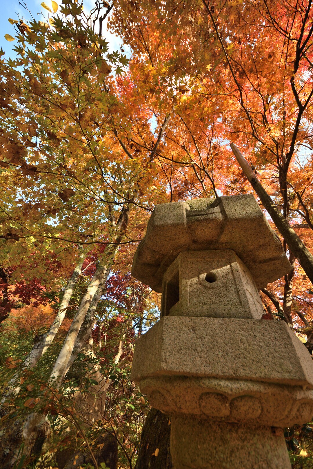 土曜日は絶好の山日和だったのですが、仕事... / umonさんのモーメント | YAMAP / ヤマップ