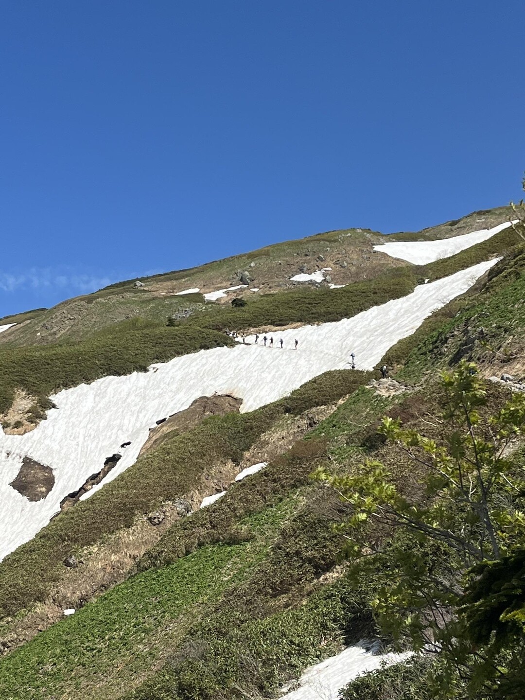 白山（御前峰） / coyaさんの白山・別山・銚子ヶ峰の活動データ | YAMAP / ヤマップ