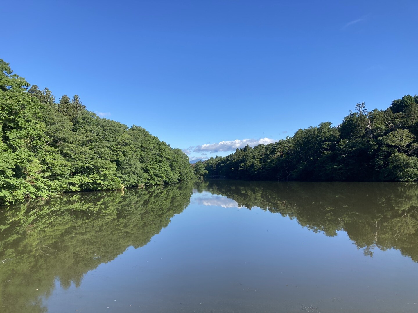 おはようございます^ ^ 今朝はキレイ... / OBsunさんのモーメント | YAMAP / ヤマップ