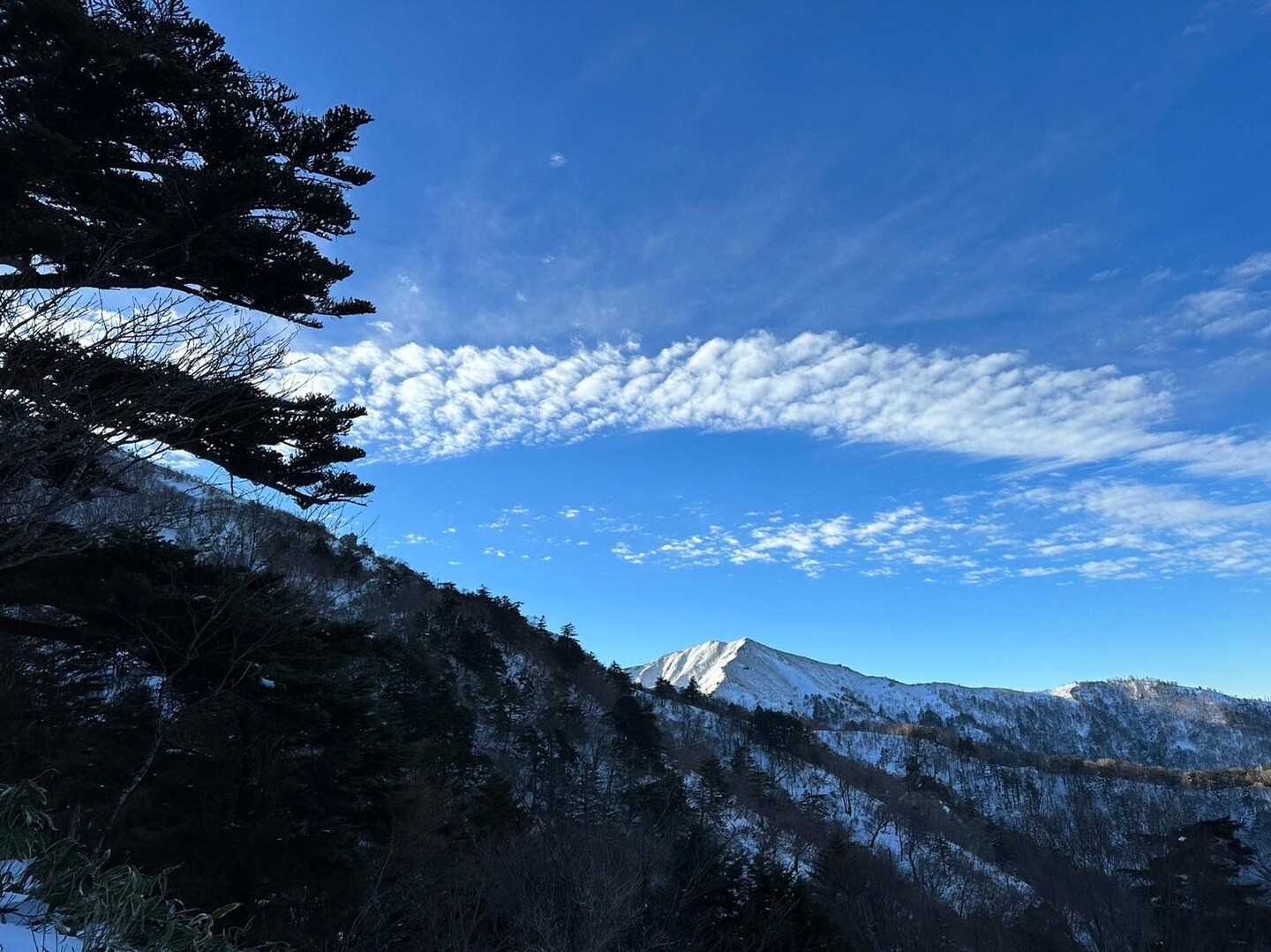 剣山 / Eriko_71さんの剣山の活動データ | YAMAP / ヤマップ