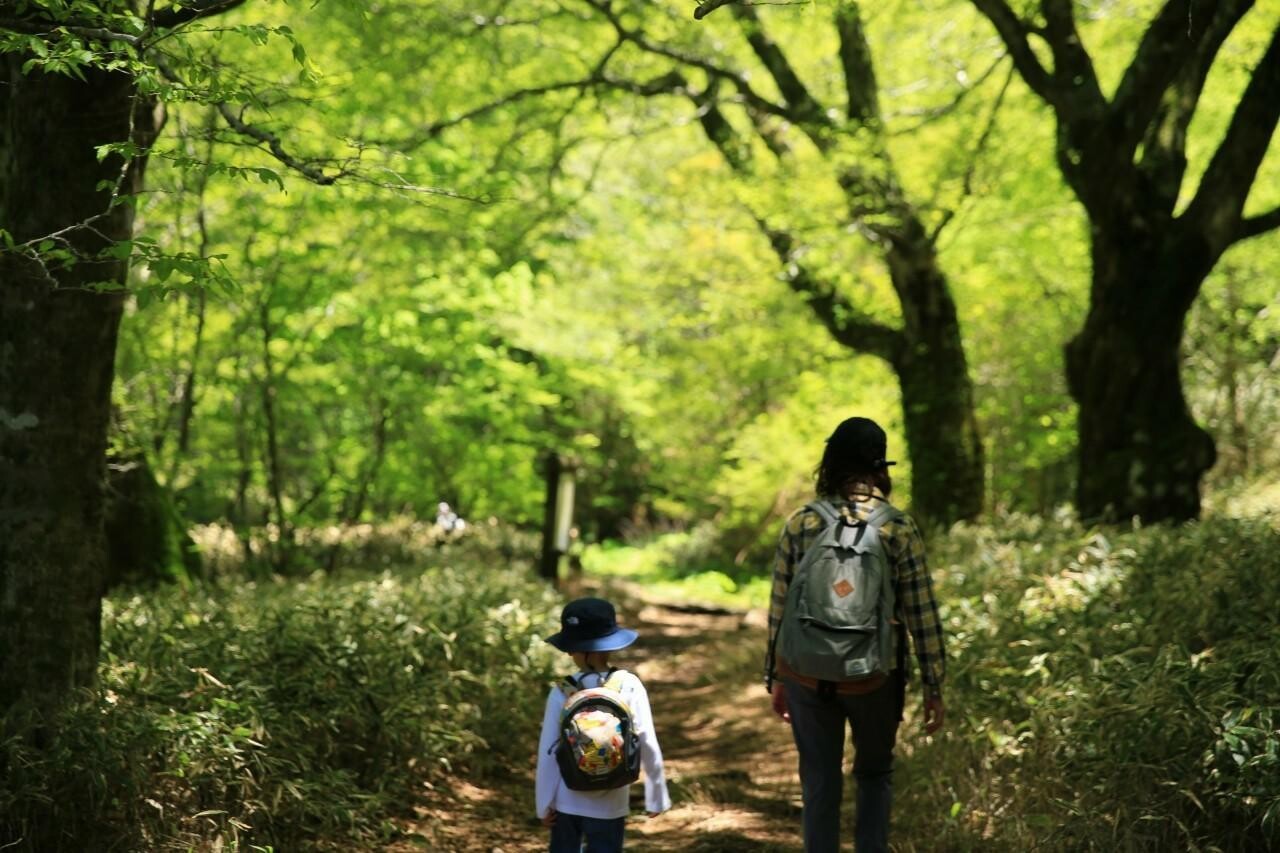 2024/5/14 皿ヶ嶺(1,270m) / tomoko miyakeさんの皿ヶ嶺・梅ヶ谷山・うなめごの活動日記 | YAMAP / ヤマップ