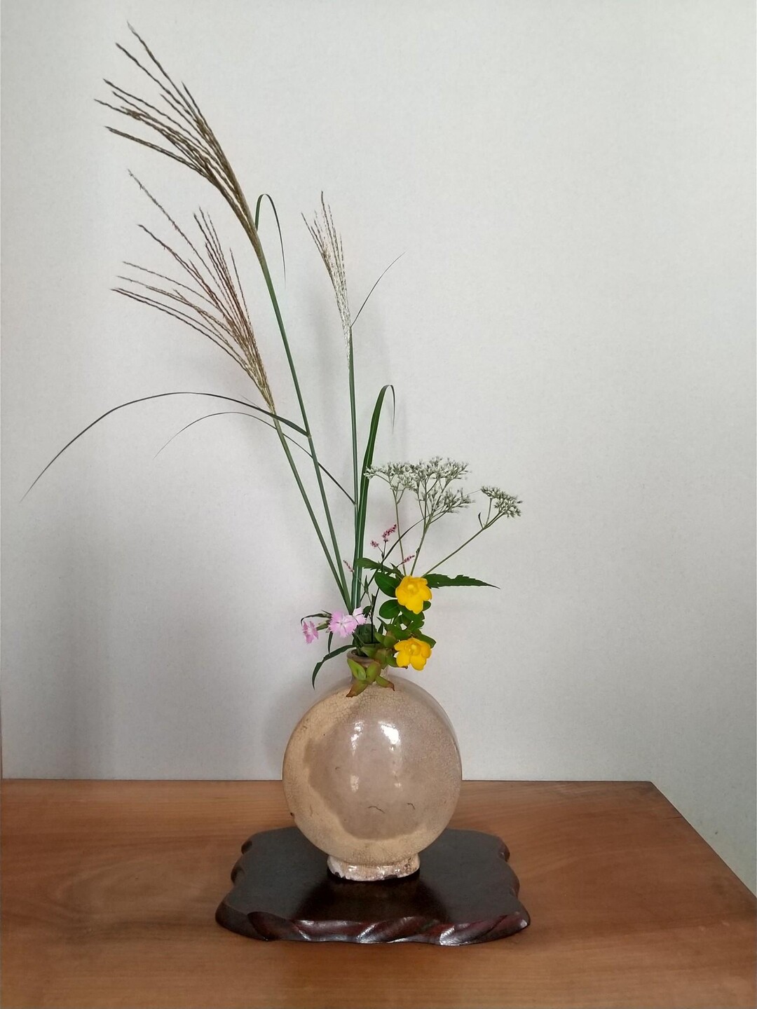 今宵は今年最大の満月🌕️スーパームーン... / jujuさんのモーメント | YAMAP / ヤマップ