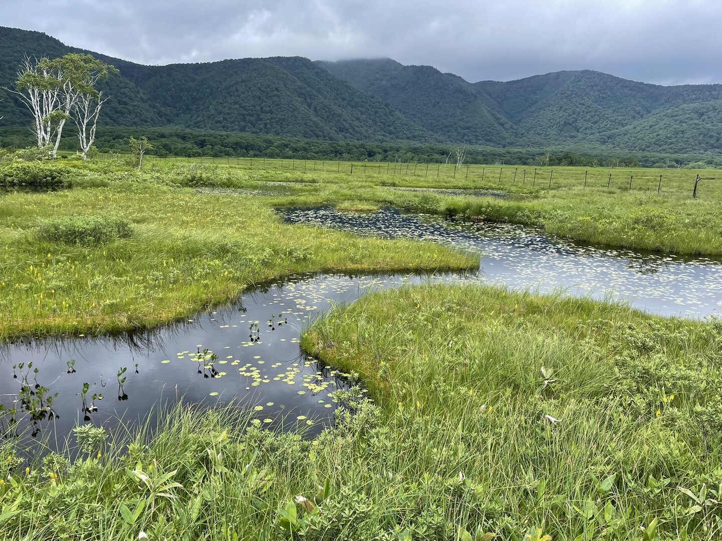 尾瀬散策🌿 尾瀬ヶ原 / minaさんの尾瀬・燧ヶ岳の活動データ | YAMAP / ヤマップ