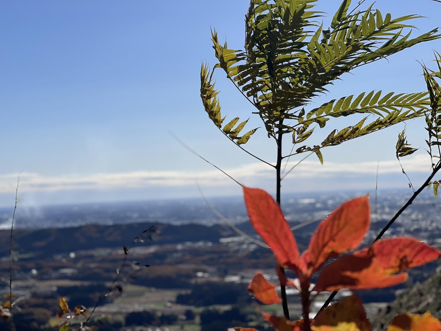天狗鳥屋・長倉山・鞍掛山・シゲト山・三角山・540P・斑根石山・古賀志山・御嶽山・坊主山 / あんさんの古賀志山・赤岩山・鞍掛山・男抱山・半蔵山の活動データ | YAMAP / ヤマップ