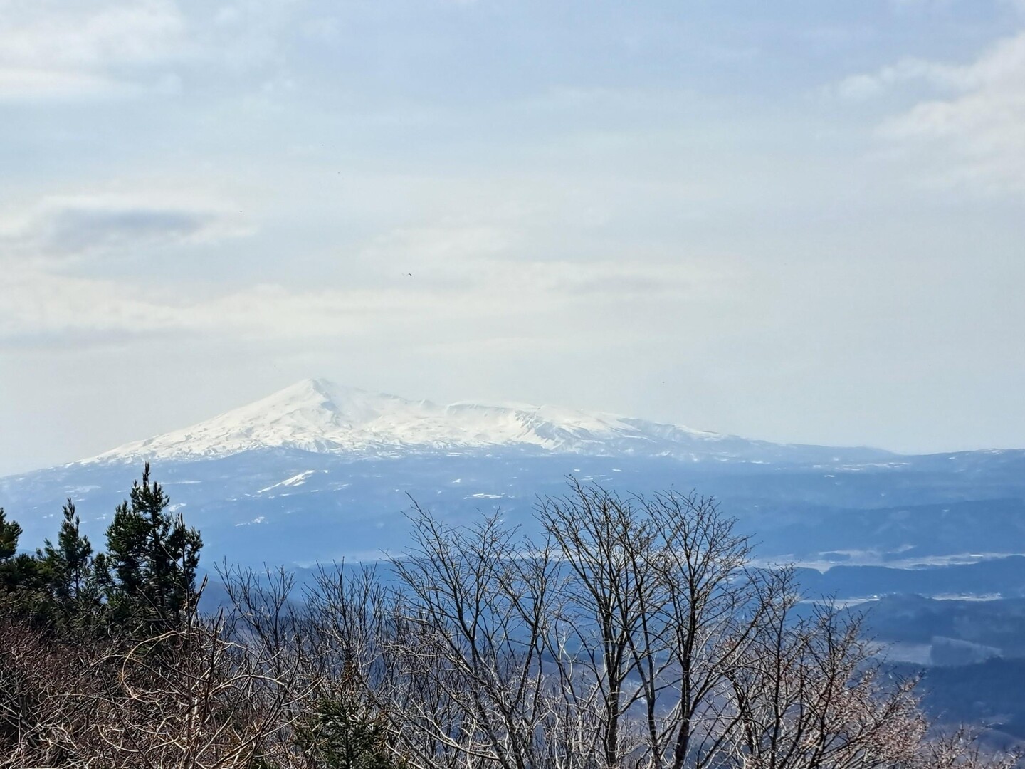 仏洞山・東光山 / rukkoさんの東光山の活動データ | YAMAP / ヤマップ