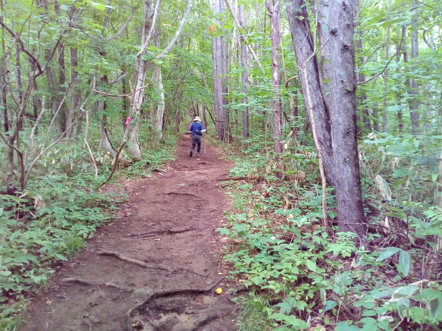 塩谷丸山 / kuri panさんの塩谷丸山・於古発山の活動データ | YAMAP / ヤマップ