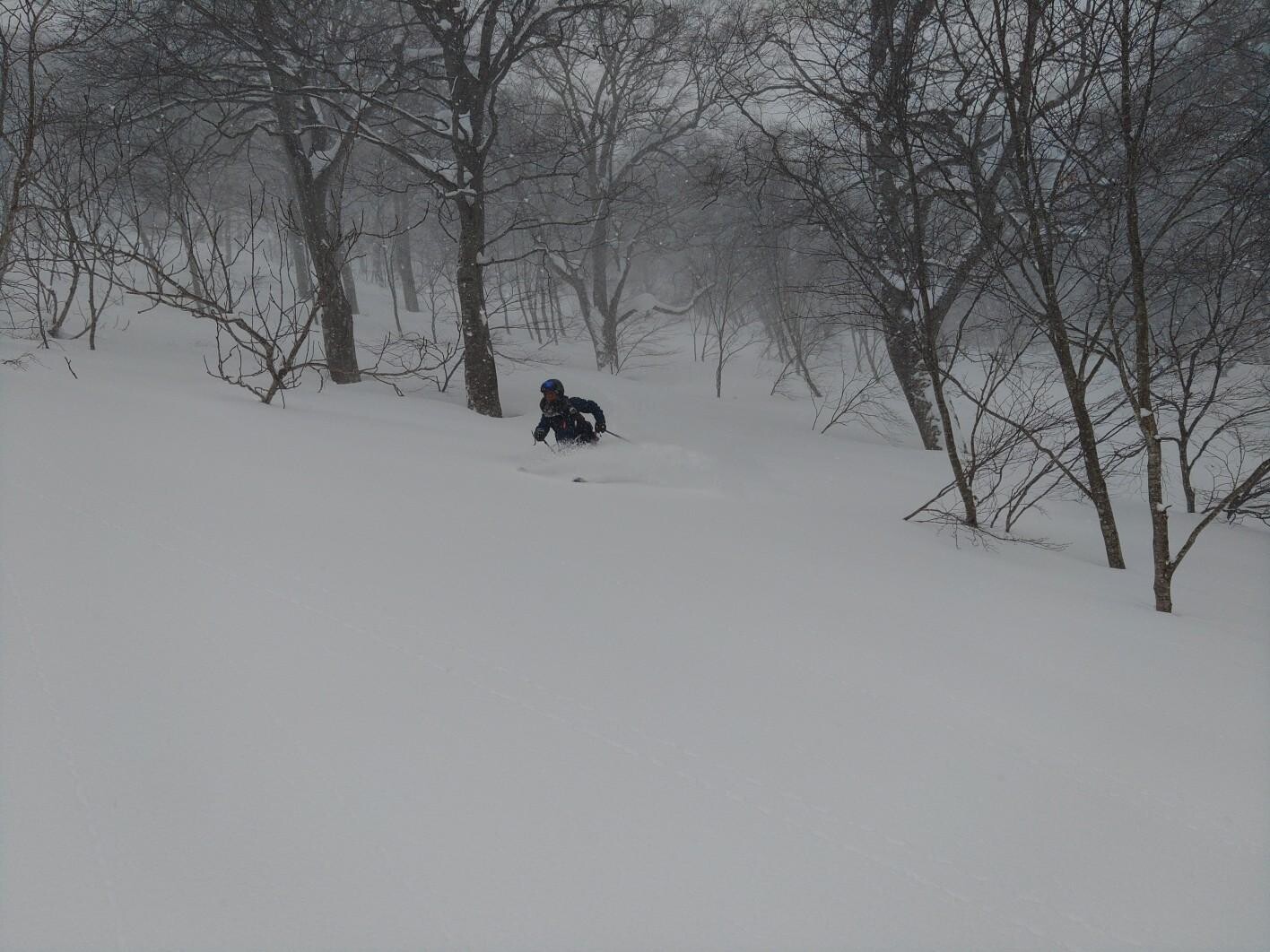 鍋倉山BC / HIDEさんの毛無山・黒岩山・鍋倉山・信越トレイル（赤池・希望湖・桂池・関田峠）の活動データ | YAMAP / ヤマップ