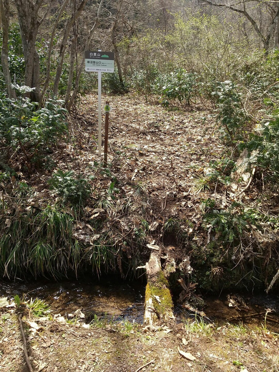 Guestさんの投稿したフィールドメモ | YAMAP / ヤマップ