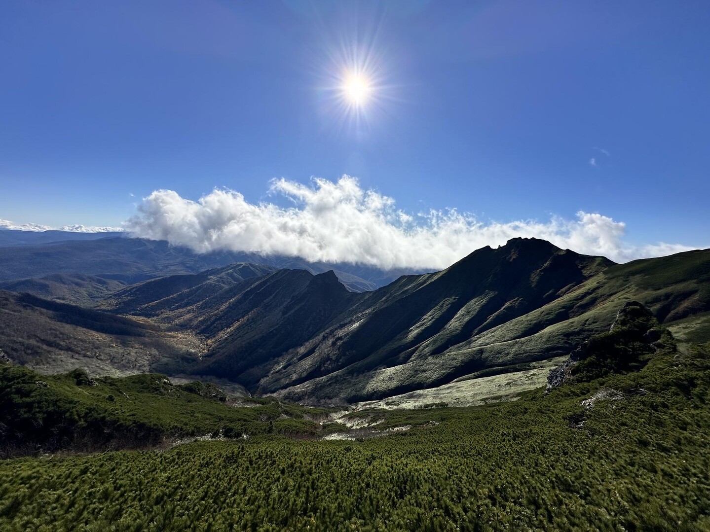 ニセイカウシュッペ山・軍艦山（アンギラス） / TAKU-F26さんのニセイカウシュッペ山・平山・朝陽山の活動データ | YAMAP / ヤマップ