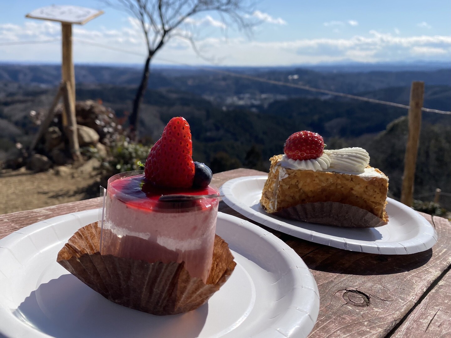 それでもやっぱり…アイ♥️柏木山 / MAYUMIさんの天覧山・多峯主山・天覚山の活動日記 | YAMAP / ヤマップ