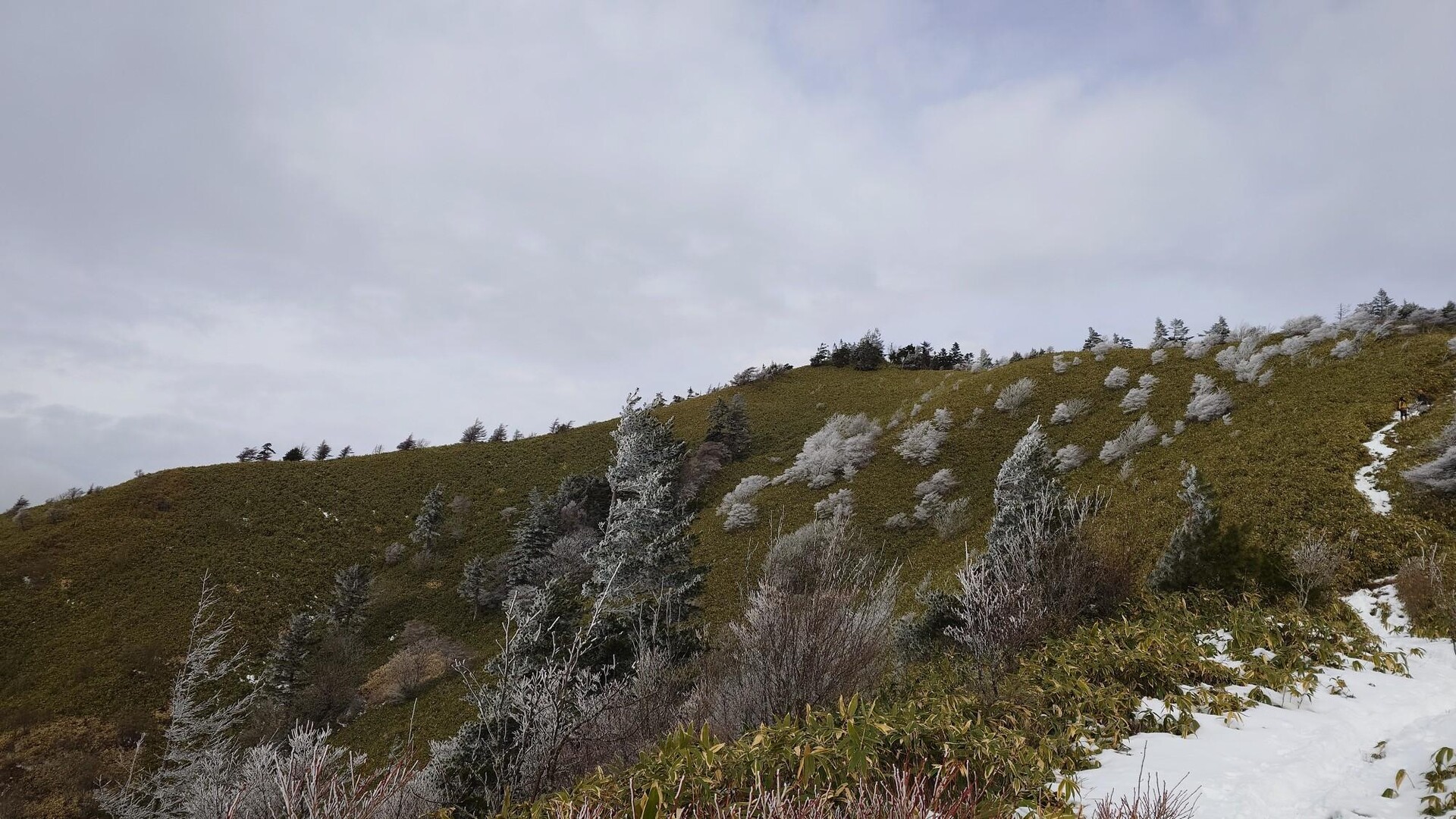 蛇峠山〜大川入山 / hkさんのウォーキングの活動データ | YAMAP / ヤマップ