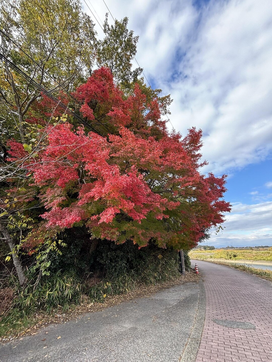 荒神山 / kaakoさんの荒神山の活動データ | YAMAP / ヤマップ