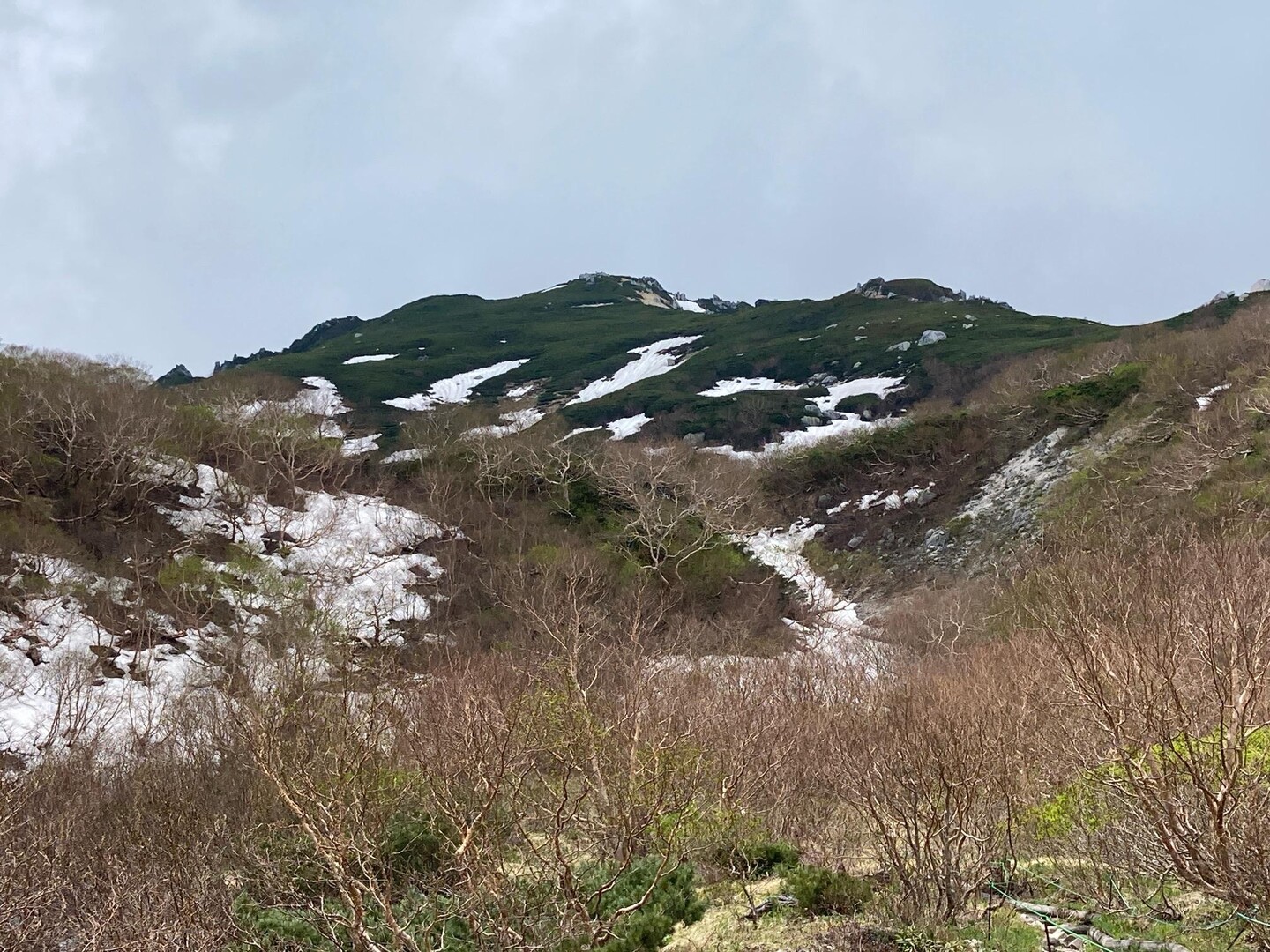 梅雨入り前に空木岳へ / assiさんの木曽駒ヶ岳・空木岳・越百山の活動データ | YAMAP / ヤマップ