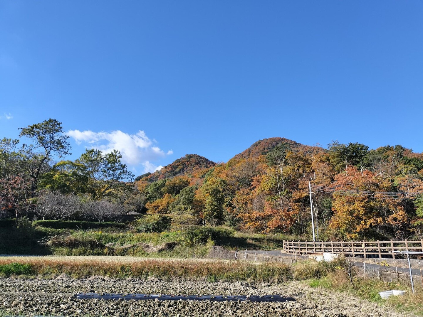 ソロ156 二上山（雄岳・雌岳） / J.BOYさんの葛城修験エリアマップ（二上山周辺）の活動データ | YAMAP / ヤマップ