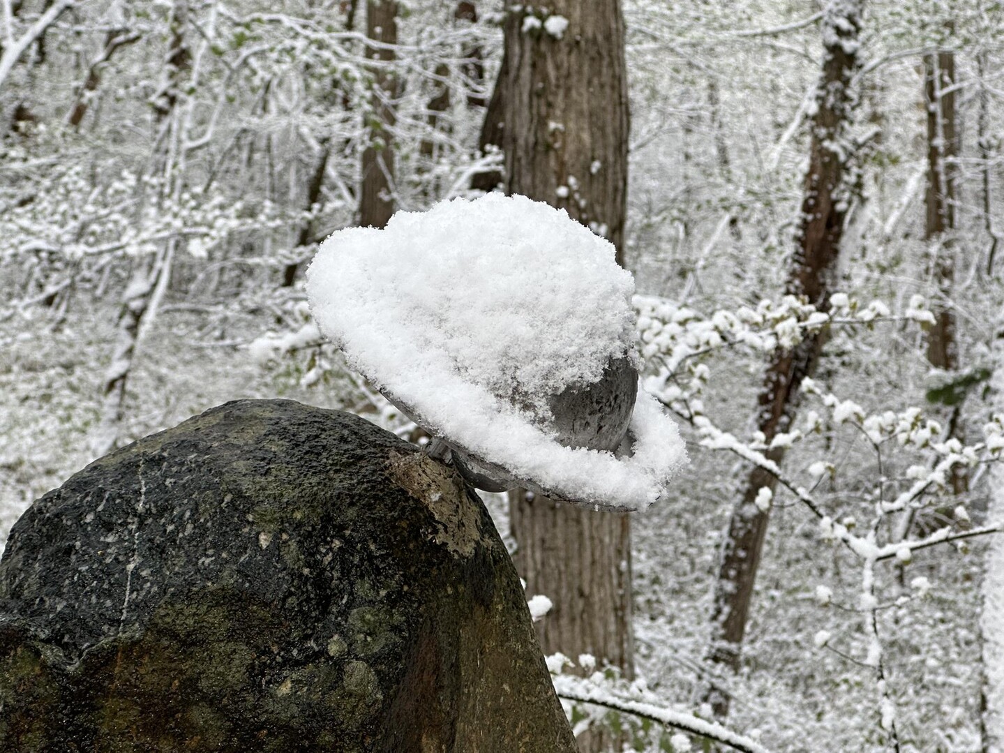 UFOの里の山開き-天井山〜千貫森 / mochaさんの女神山の活動データ | YAMAP / ヤマップ