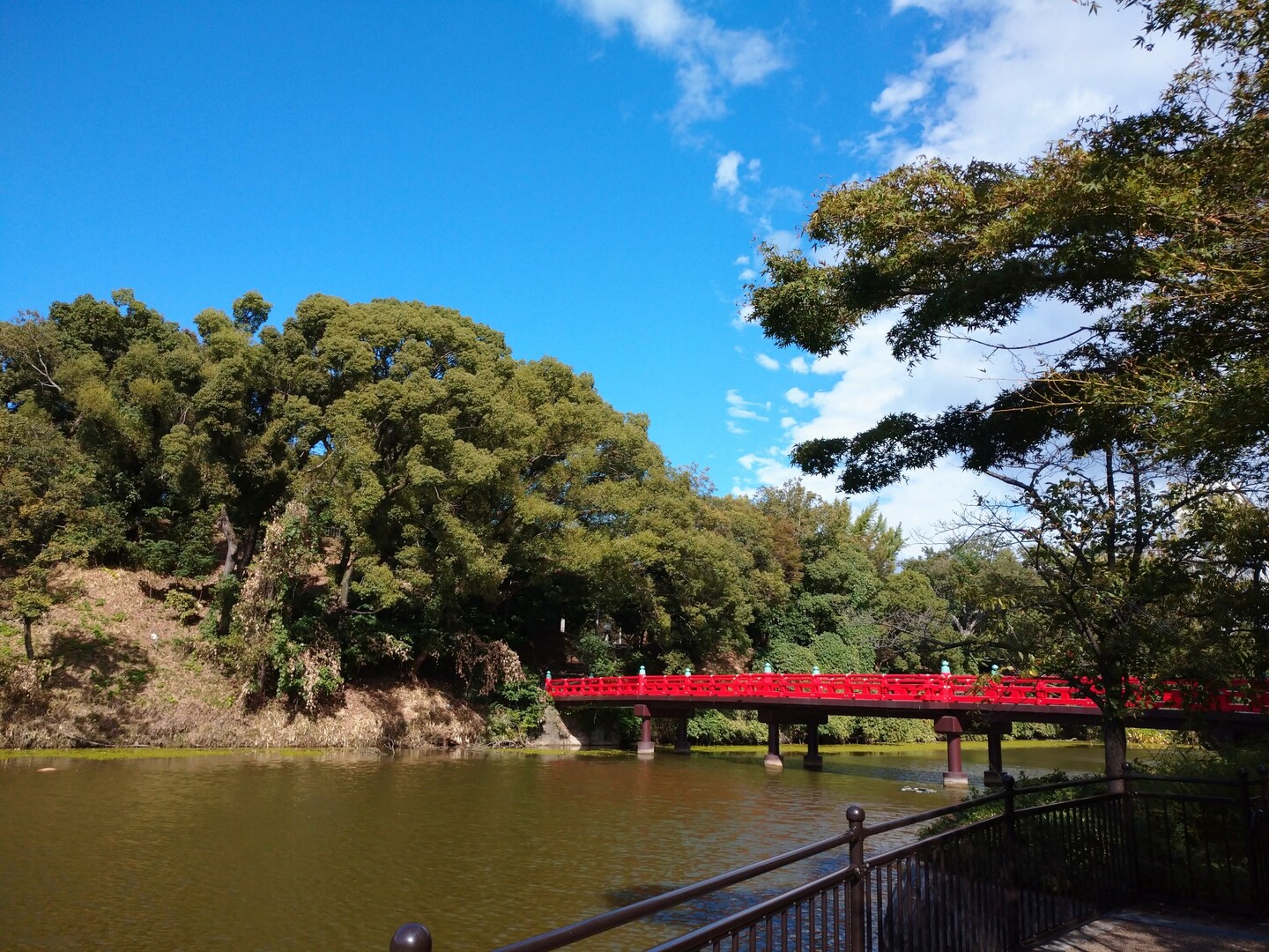 帝塚山・聖天山・茶臼山・御勝山 / chonpsさんの大阪市の活動データ | YAMAP / ヤマップ