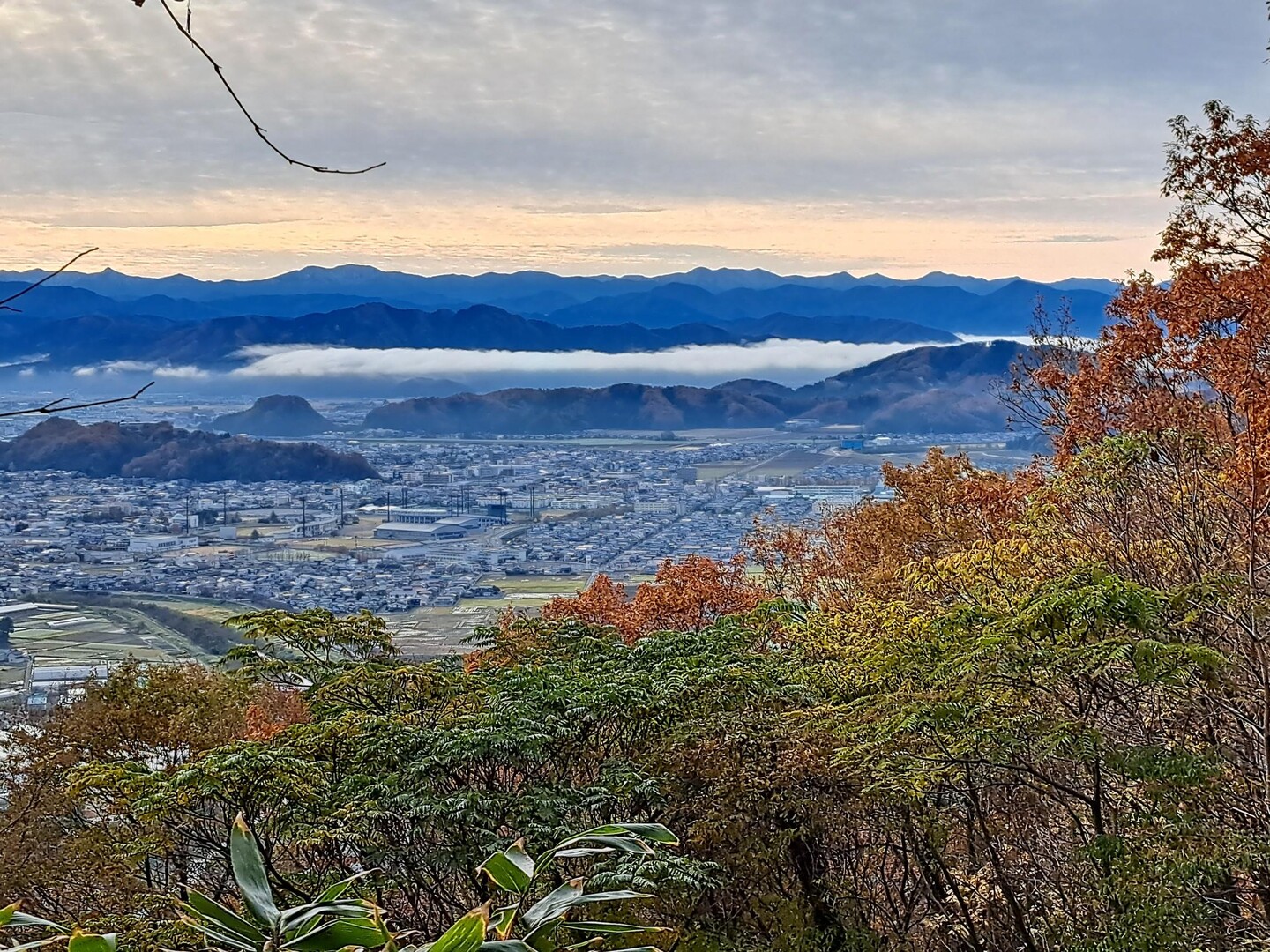 下市山 / jasmineさんの下市山の活動データ | YAMAP / ヤマップ