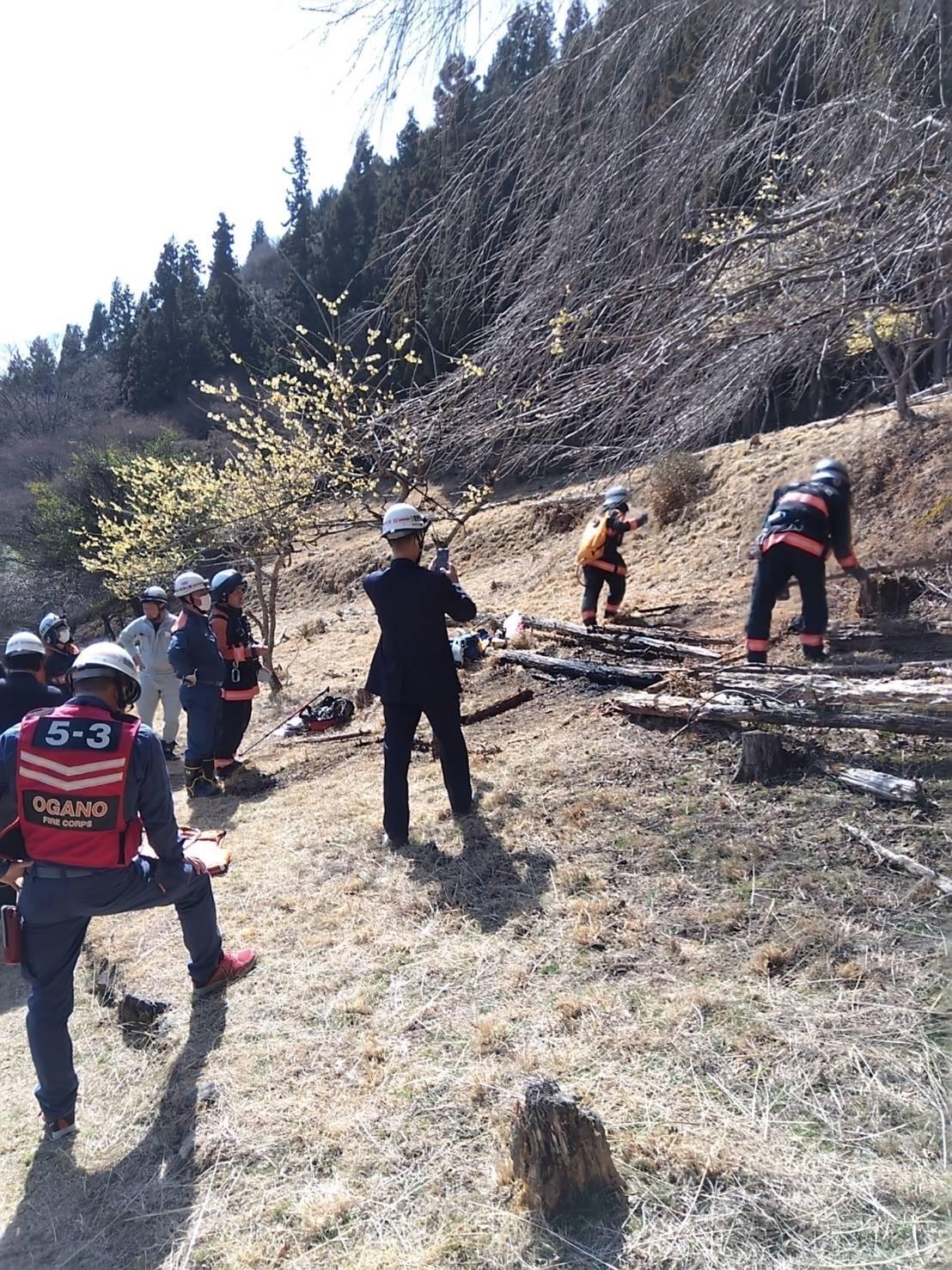 本日お昼時に地元四阿屋山の福寿草園内で林... / 🌸Springthunders⚡さんのモーメント | YAMAP / ヤマップ
