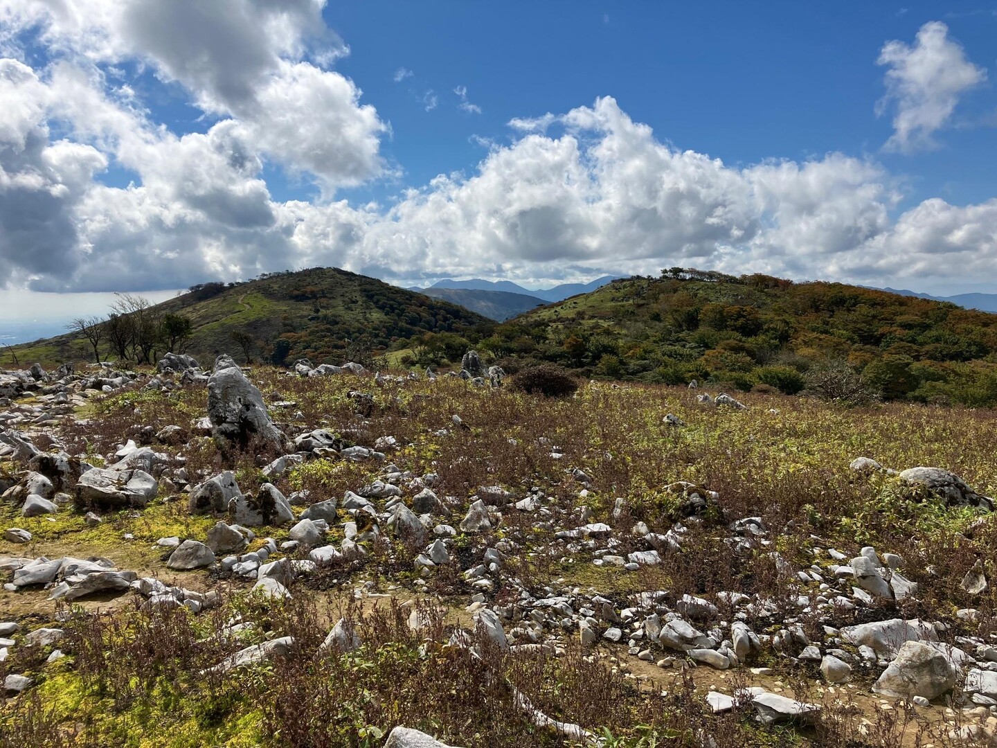 藤原岳・天狗岩 / yamazさんの藤原岳・御池岳の活動データ | YAMAP / ヤマップ