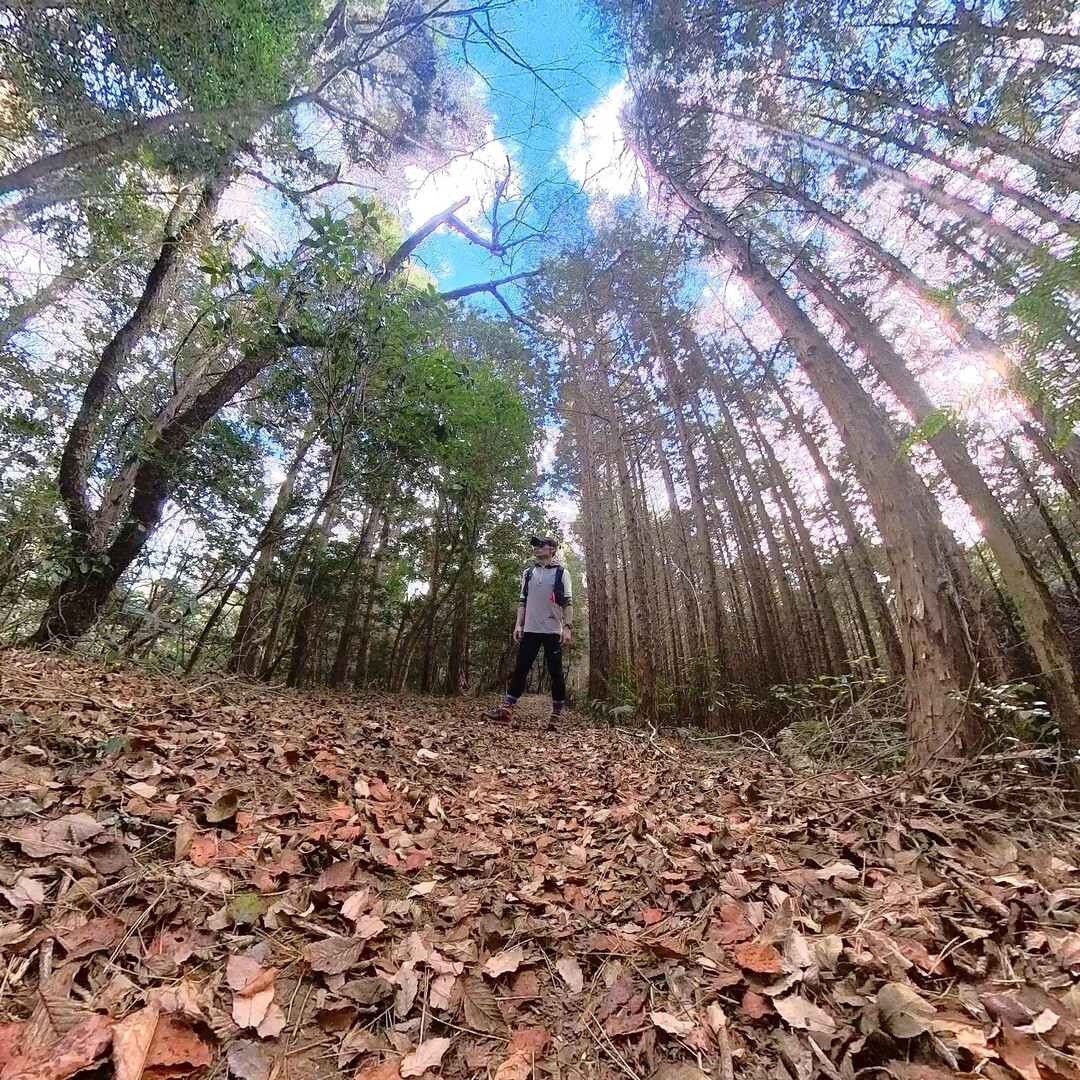 日立アルプス縦走 / ma-sa45さんの日立アルプストレイル・神峰山（神峯山）の活動データ | YAMAP / ヤマップ