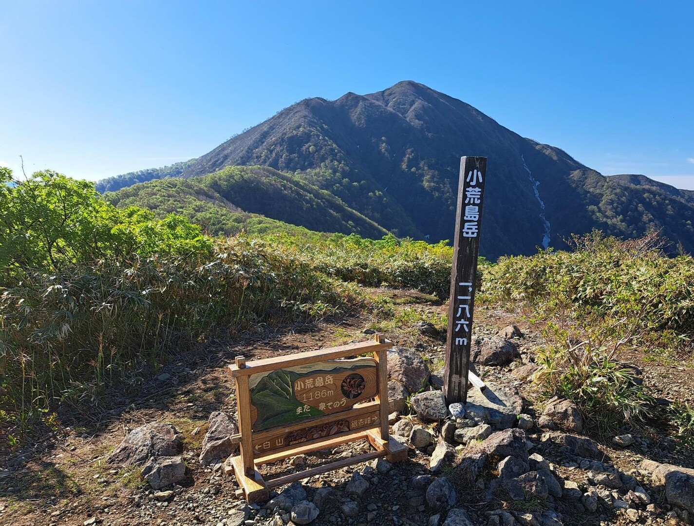 景色もお花も楽しんだ荒島岳 / tottinさんの荒島岳の活動データ | YAMAP / ヤマップ