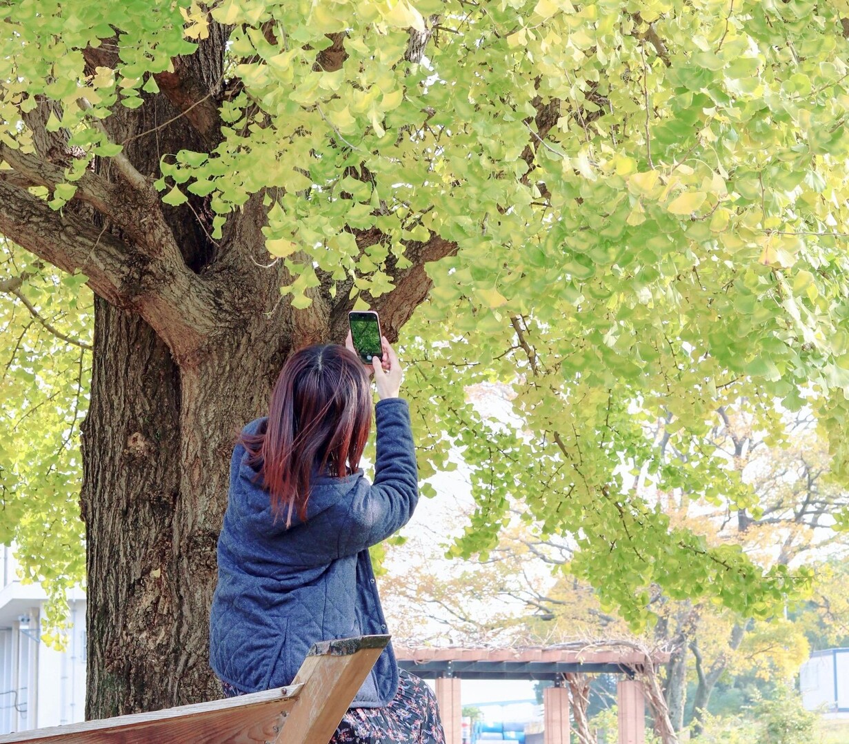 おさんぽ(伏見桃山～三栖神社) / YUKIEさんのウォーキングの活動日記 | YAMAP / ヤマップ