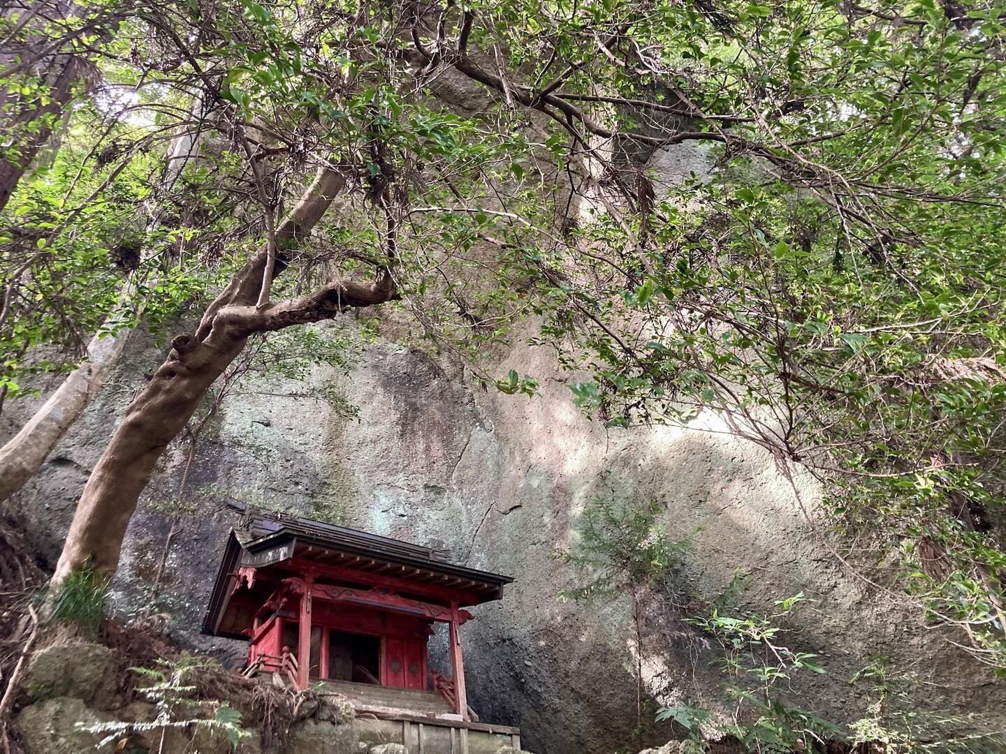 遅く起きた朝は / j.revoさんの石老山・ 石砂山の活動データ | YAMAP / ヤマップ