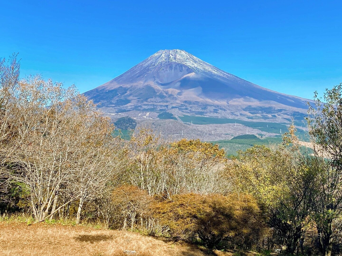 越前岳⛰⛩から周回🚶‍♀️ほっこり登山🧡 / Nmamaさんの愛鷹山・大岳・黒岳の活動データ | YAMAP / ヤマップ