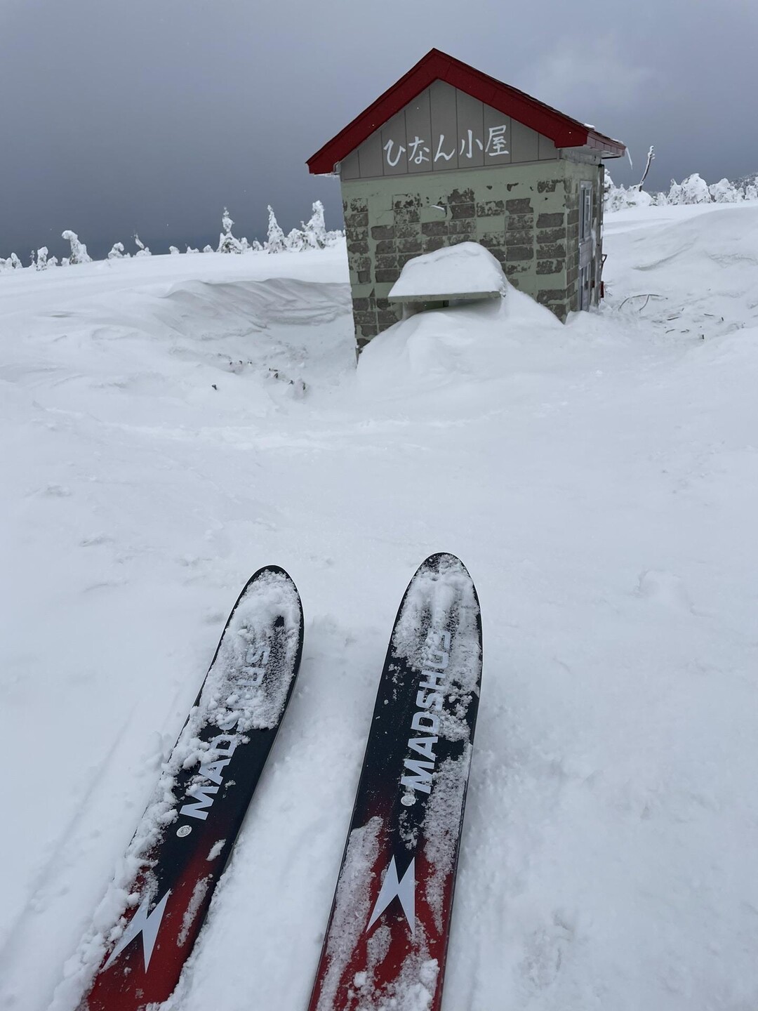 相棒とひなん小屋の先まで😊 / yoshimi さんの蔵王山・雁戸山・不忘山の活動データ | YAMAP / ヤマップ