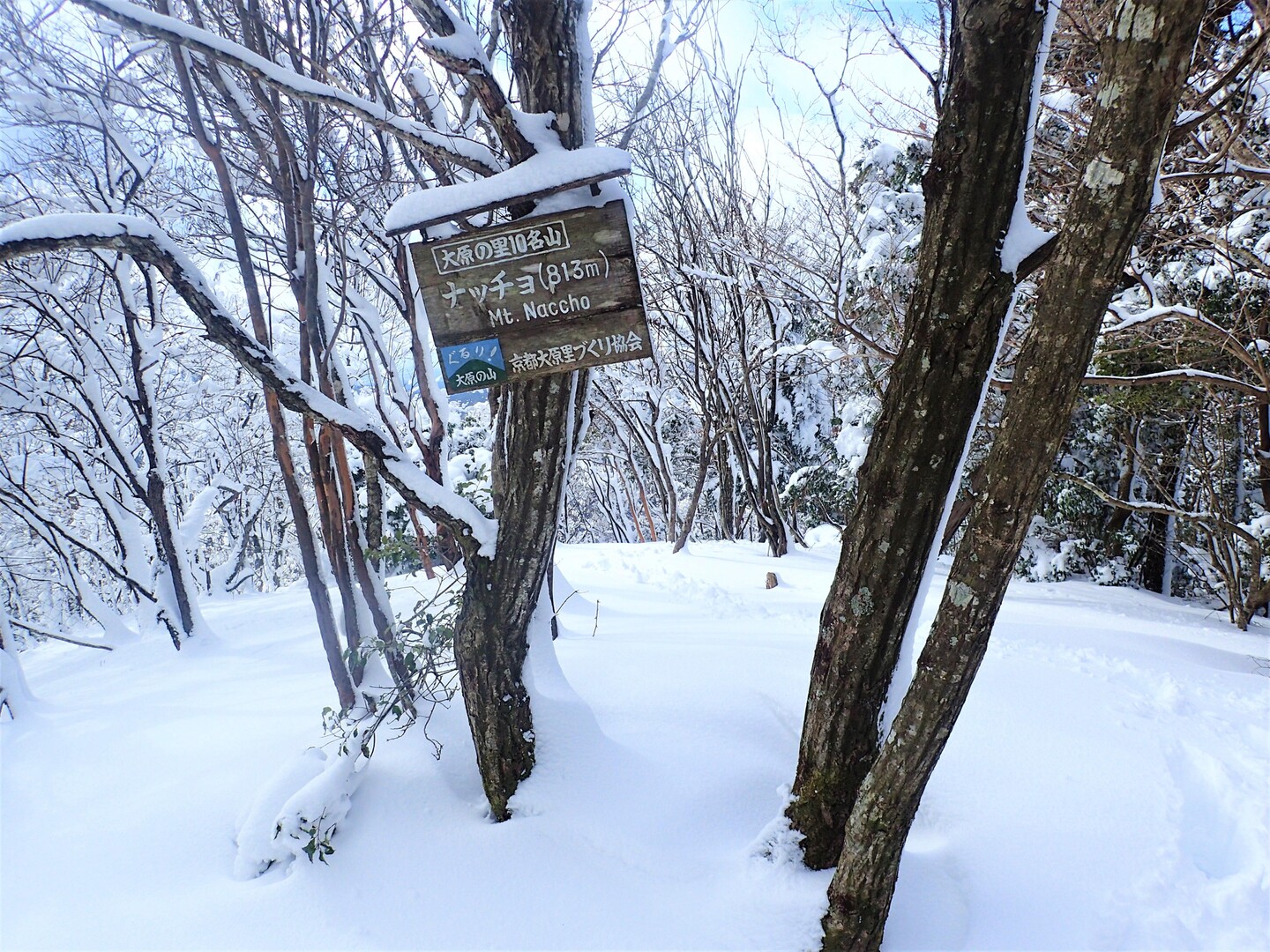 天ヶ森（ナッチョ） / Thomasさんの金毘羅山・翠黛山・焼杉山の活動データ | YAMAP / ヤマップ