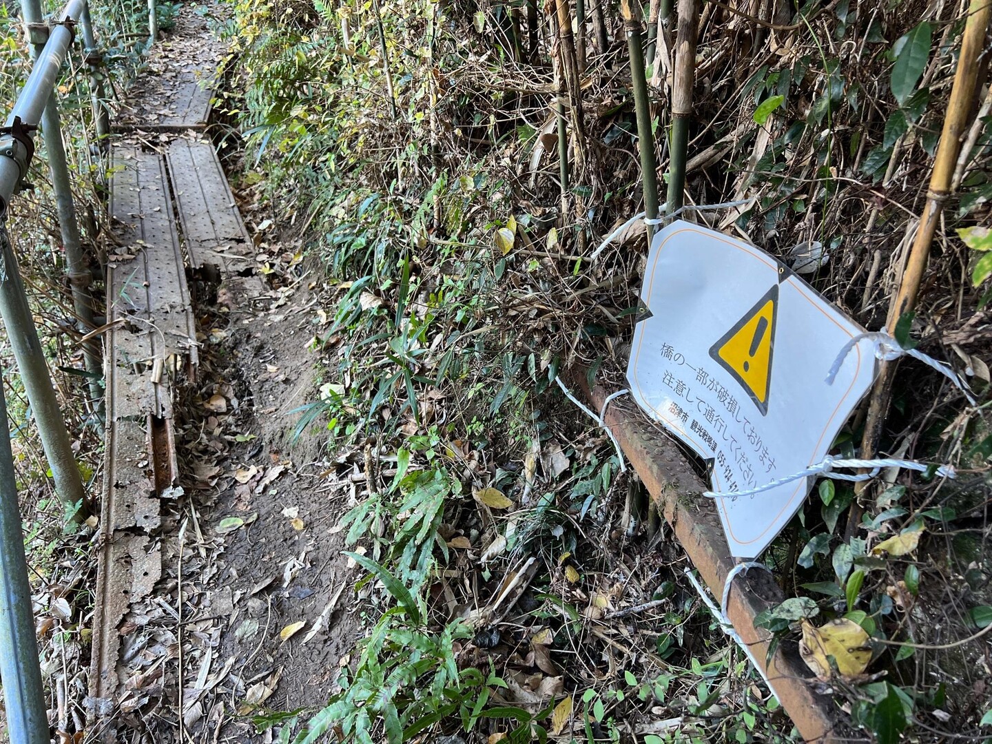 kaeruさんの投稿したフィールドメモ | YAMAP / ヤマップ