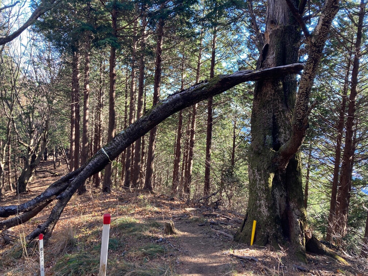 ktmlさんの投稿したフィールドメモ | YAMAP / ヤマップ