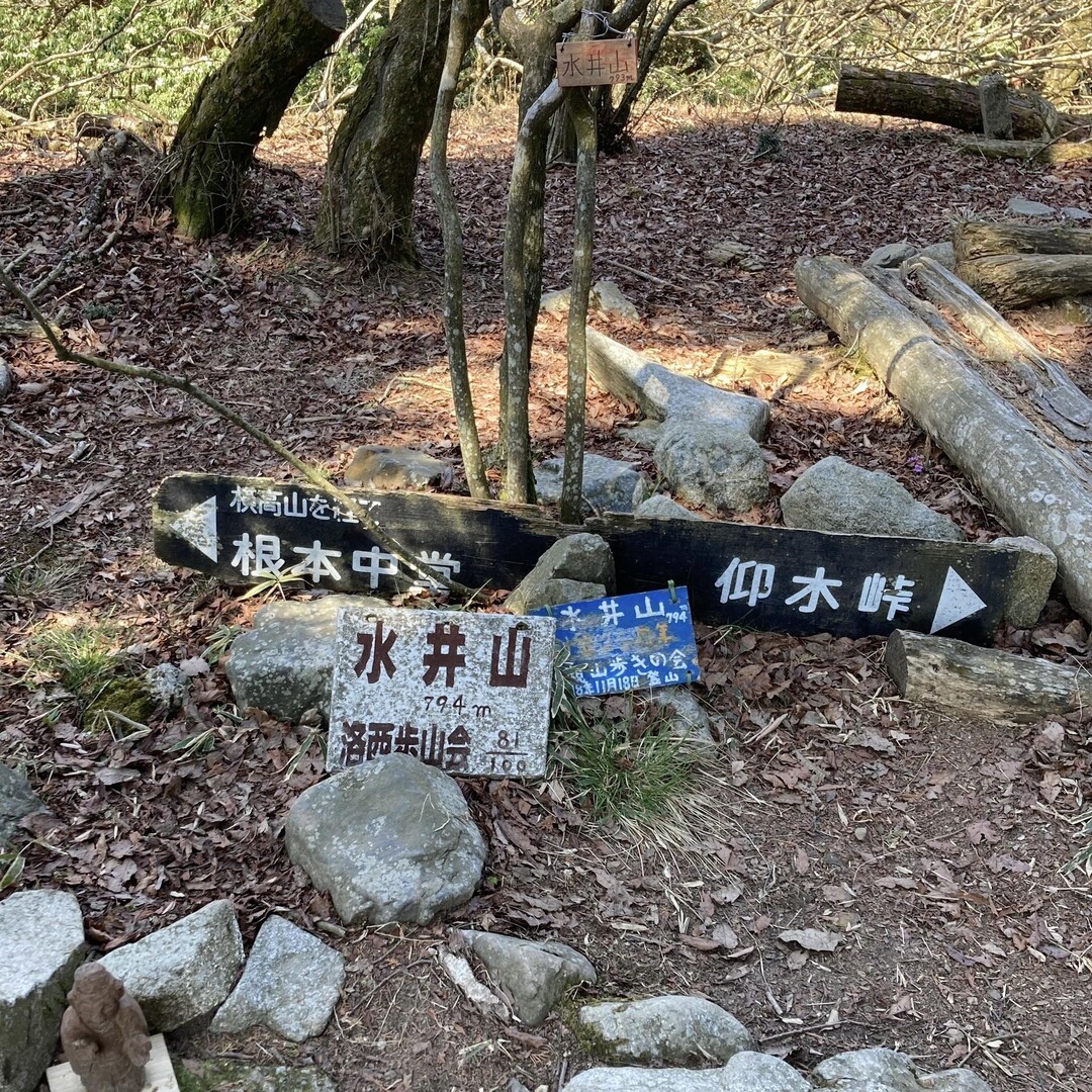 水井山・横高山 / Hirofumi I🕶さんの比叡山・横高山・梶山の活動データ | YAMAP / ヤマップ