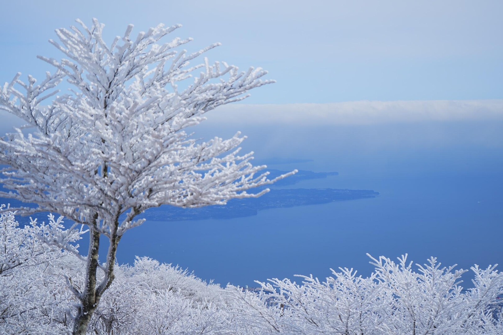 気まぐれ登山‪𝐃𝐚𝐲‬②യꕤ鶴見岳യꕤ / - ̗̀ ☺︎ ̖́-Sen_sun- ̗̀ ☺︎ ̖́-さんの由布岳・鶴見岳の活動データ | YAMAP / ヤマップ