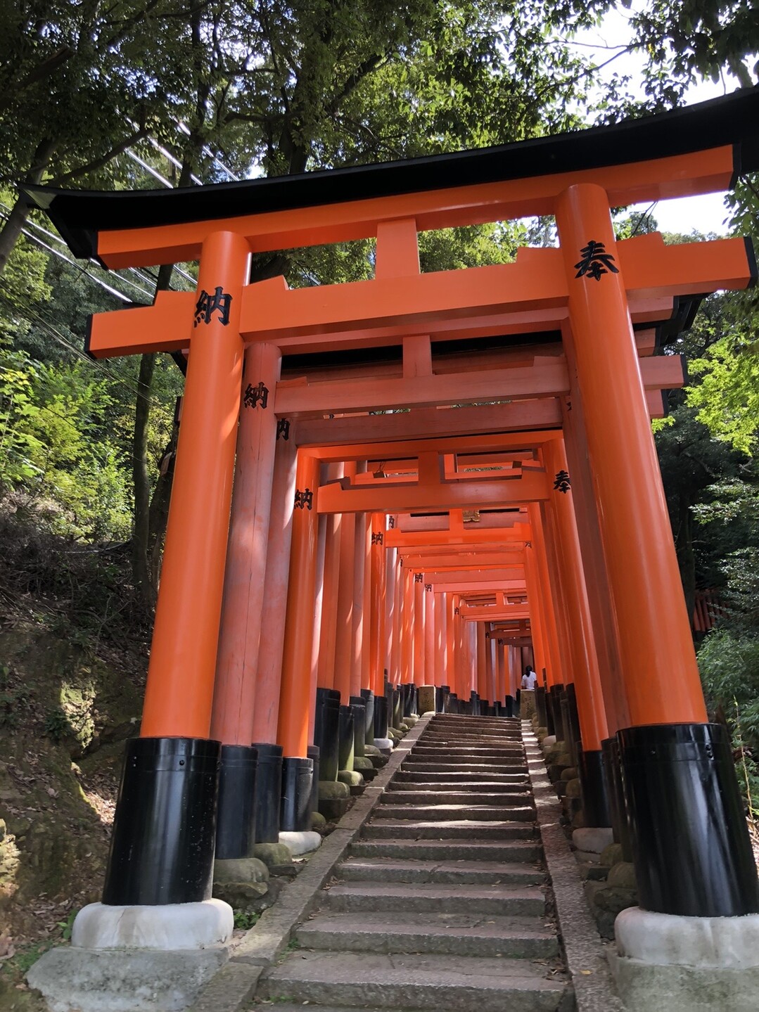粟田口〜伏見稲荷 / keiさんの京都一周トレイルの活動データ | YAMAP / ヤマップ