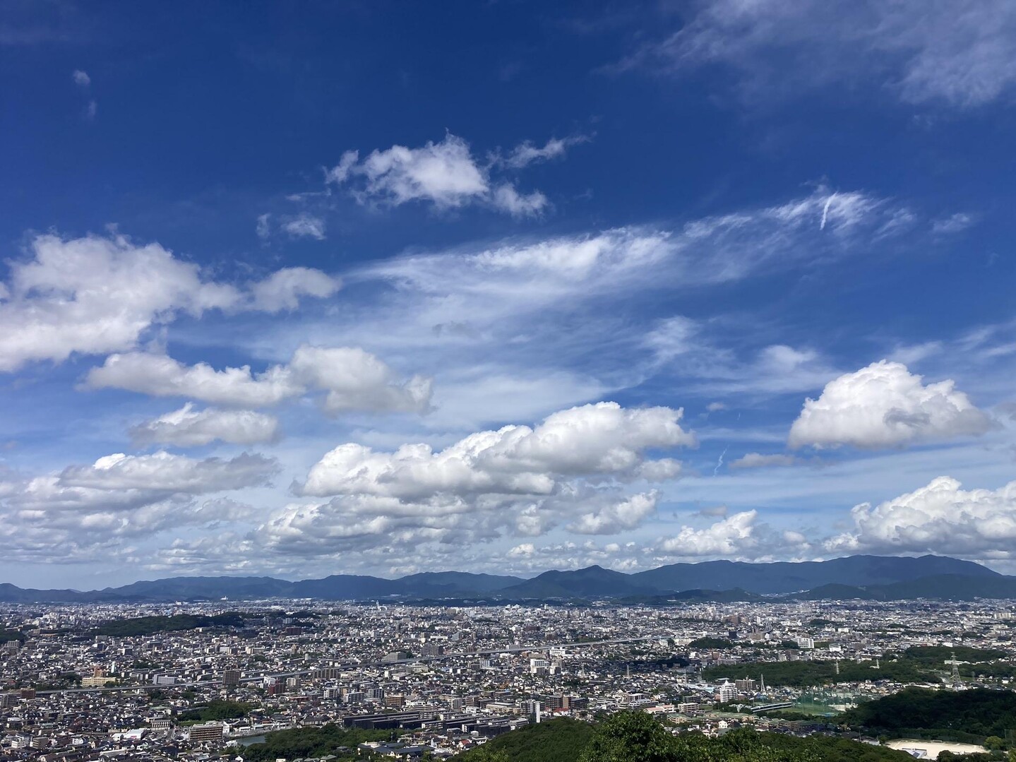 久しぶりの油山⛰️ / ozumaさんの油山・荒平山・片縄山の活動データ | YAMAP / ヤマップ