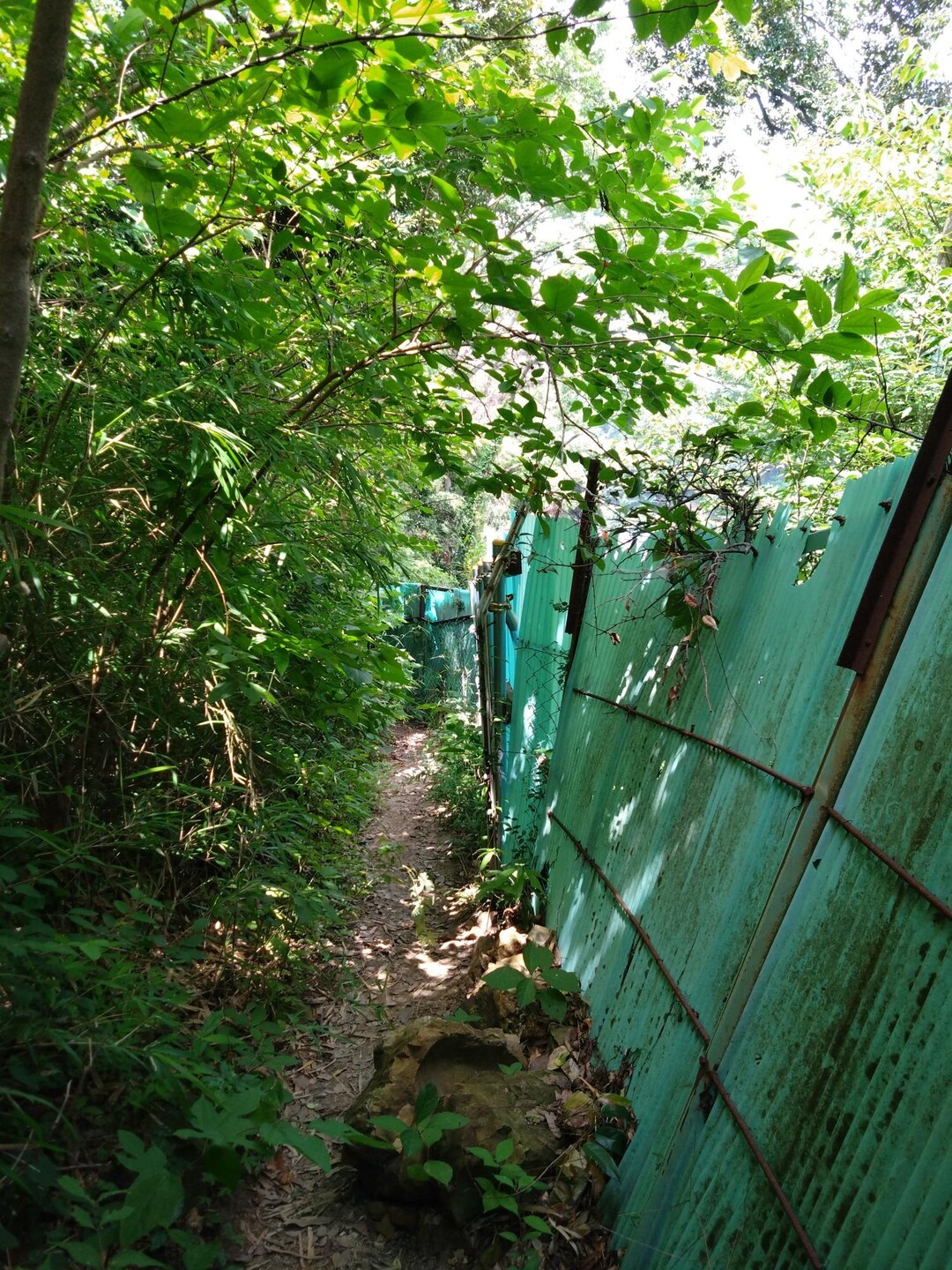 Nagaさんの投稿したフィールドメモ | YAMAP / ヤマップ