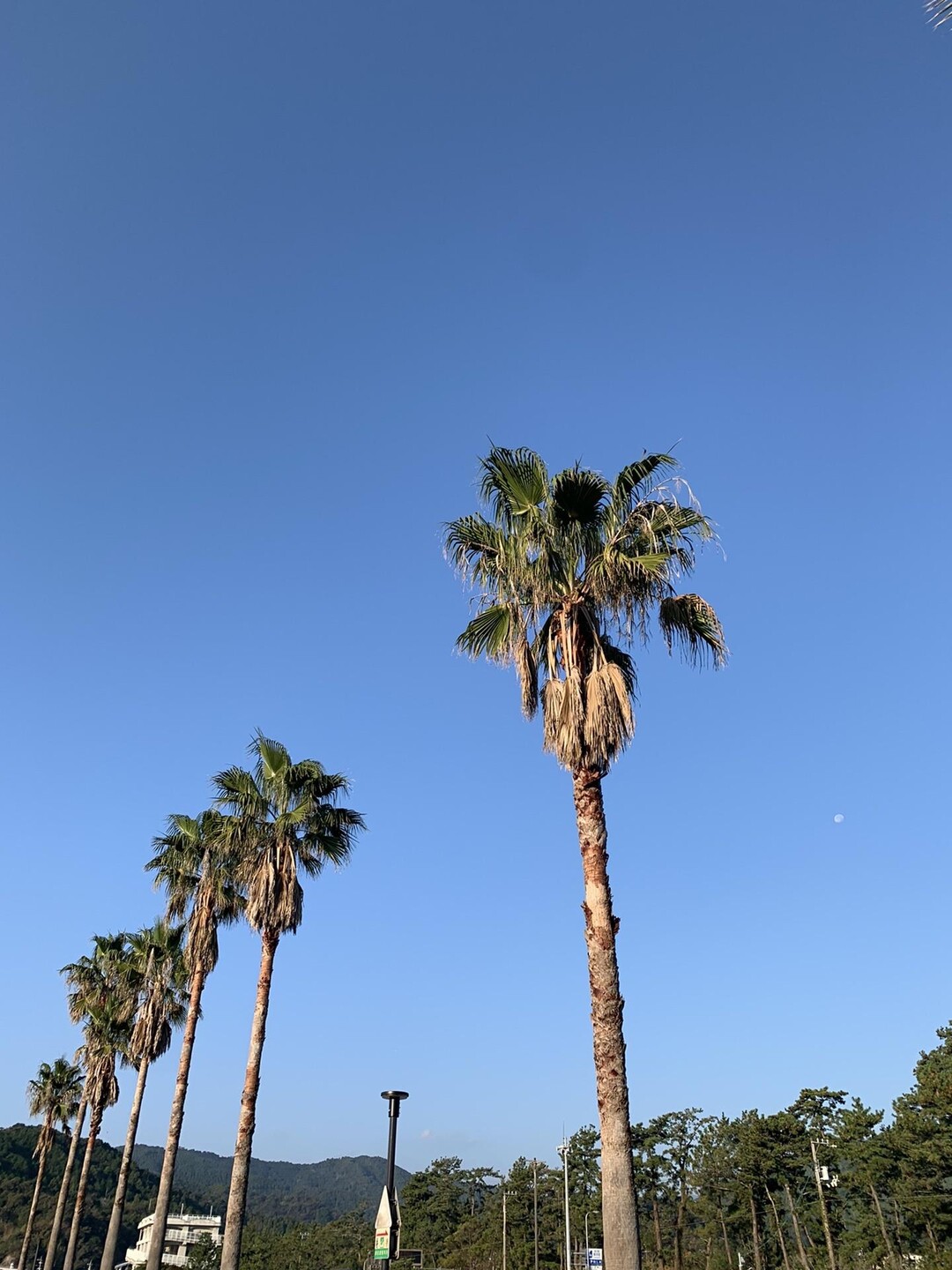 おはようございます🌞 / RNさんのモーメント | YAMAP / ヤマップ