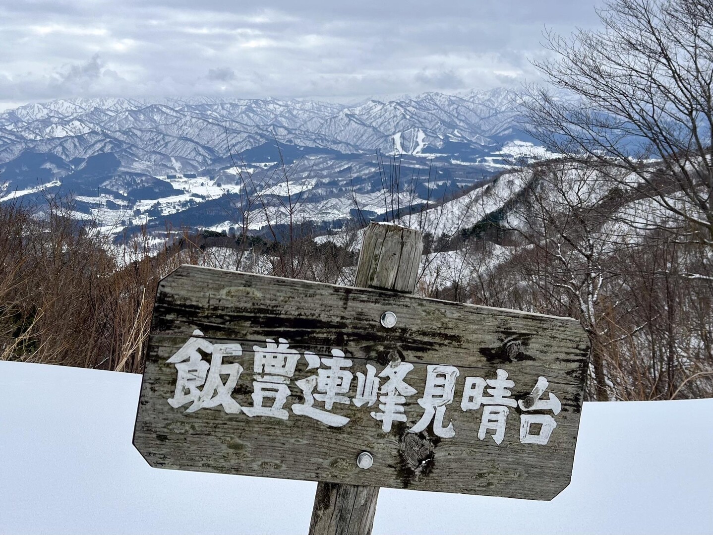 ブナ林満喫の高坪山周回⛰️ / w823hさんの高坪山の活動データ | YAMAP / ヤマップ